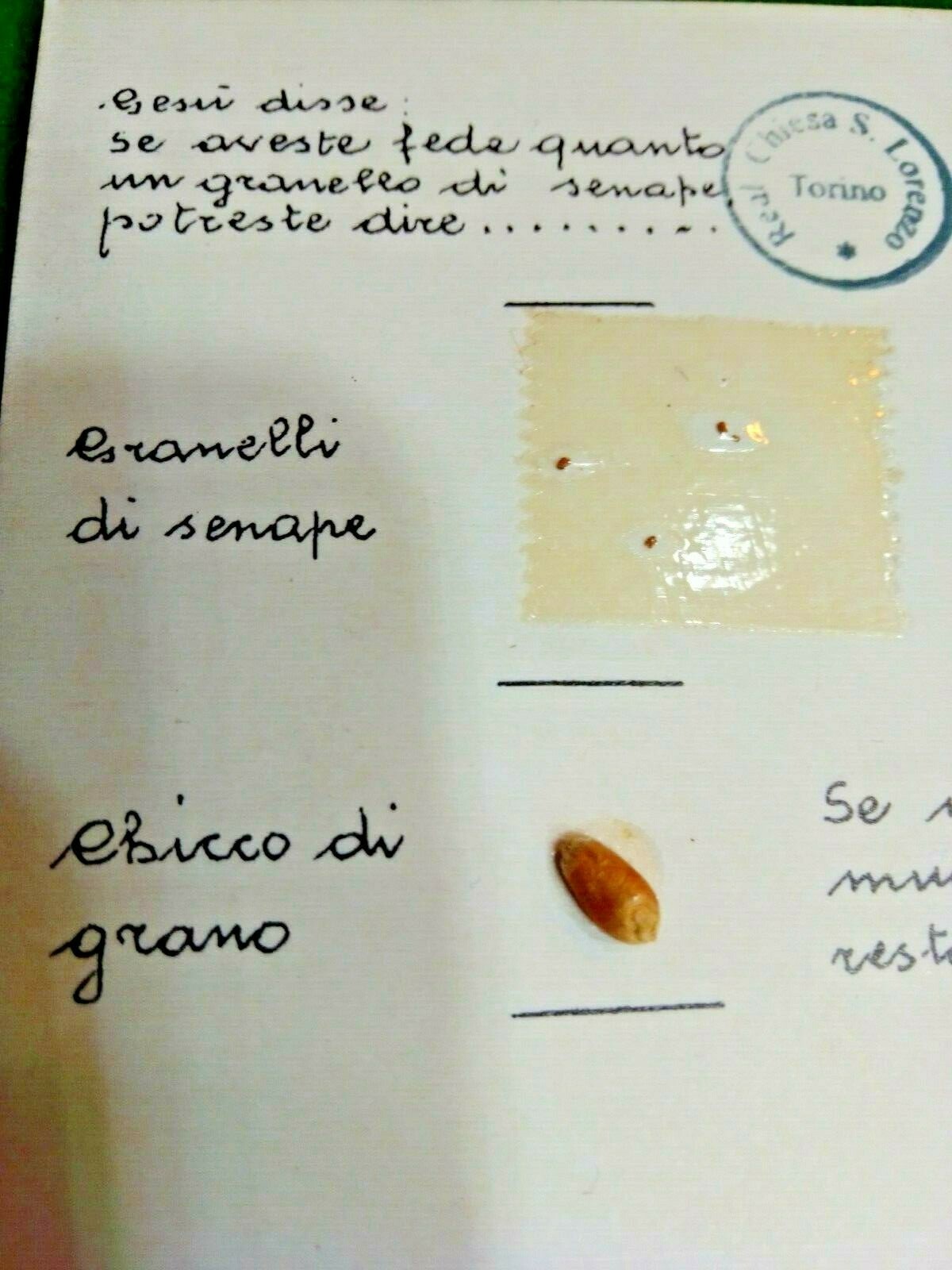 SANTINO VOLTO SACRA SINDONE DI TORINO- PARTICOLARITÀ CHICCHI DI SENAPE ...