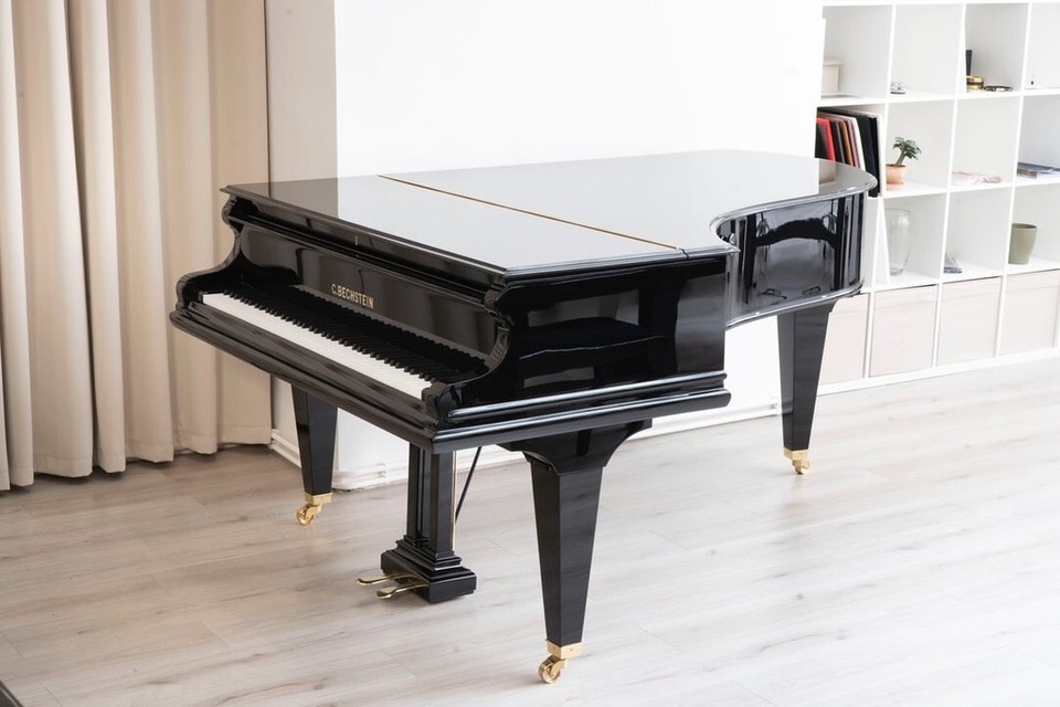 Bechstein B203 (6'6") | eBay