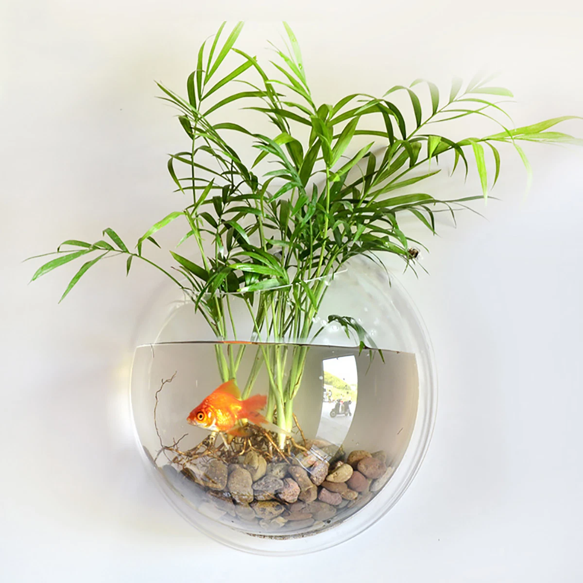 Modern Fish Bowls