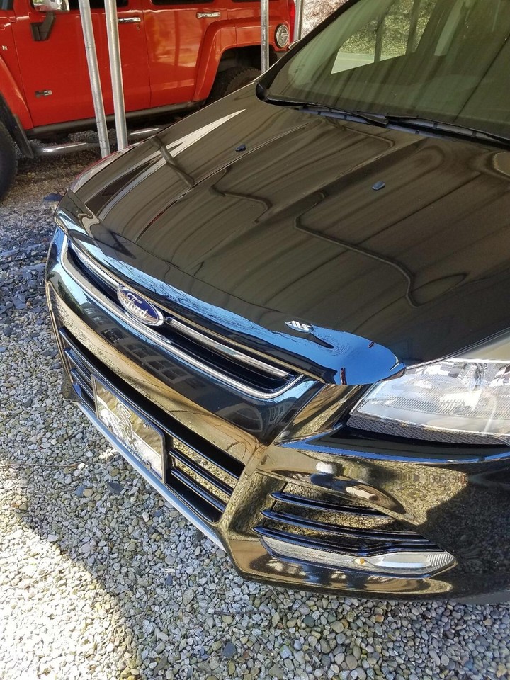 Husky BugFlector II Hood Protector Bug Shield Deflector for 13-2016 ...