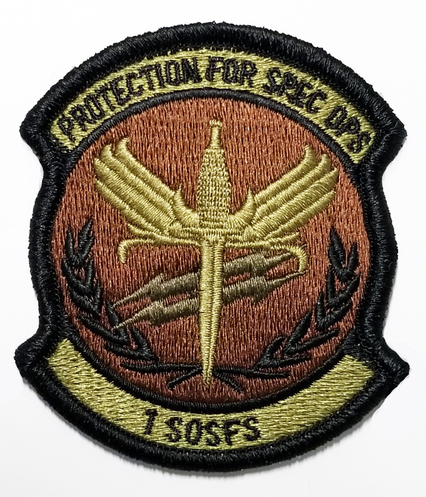 Air Force Special Forces Logo