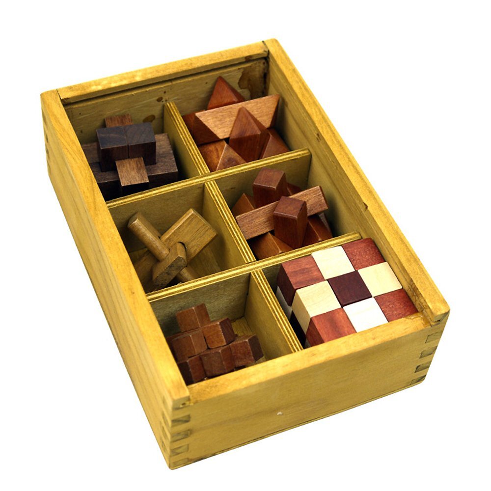 6PCS/Set Wooden Puzzle IQ Brain Teaser Burr Interlocking Puzzles Game ...