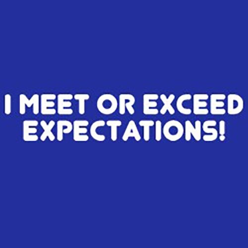 I Meet or Exceed Expectations T-shirt Funny S-3XL | eBay