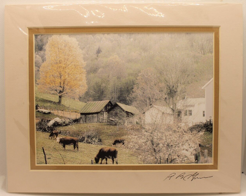 NEW Barry Gamow Cows & Barns Nature Art Photograph 8x10" Matted ...