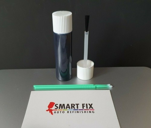 FORD SEA GREY METALLIC, CODE 6DYE TOUCH UP PAINT REPAIR, STONE CHIPS ...