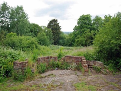 Photo 6x4 Ruined Hawthorn in Dunton Plotlands Great Berry This is the ...