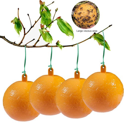 4x Bug Sticky Trap Ball Flying Insect Trap Catcher Fruit Fly Fungus ...