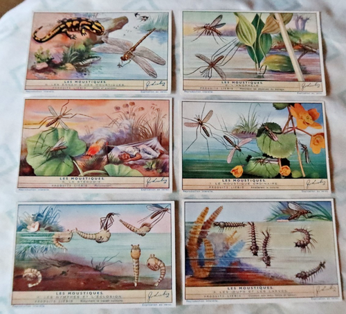 LOT Vintage SET 6 Victorian Liebig Antique Trade Cards 1800's ...