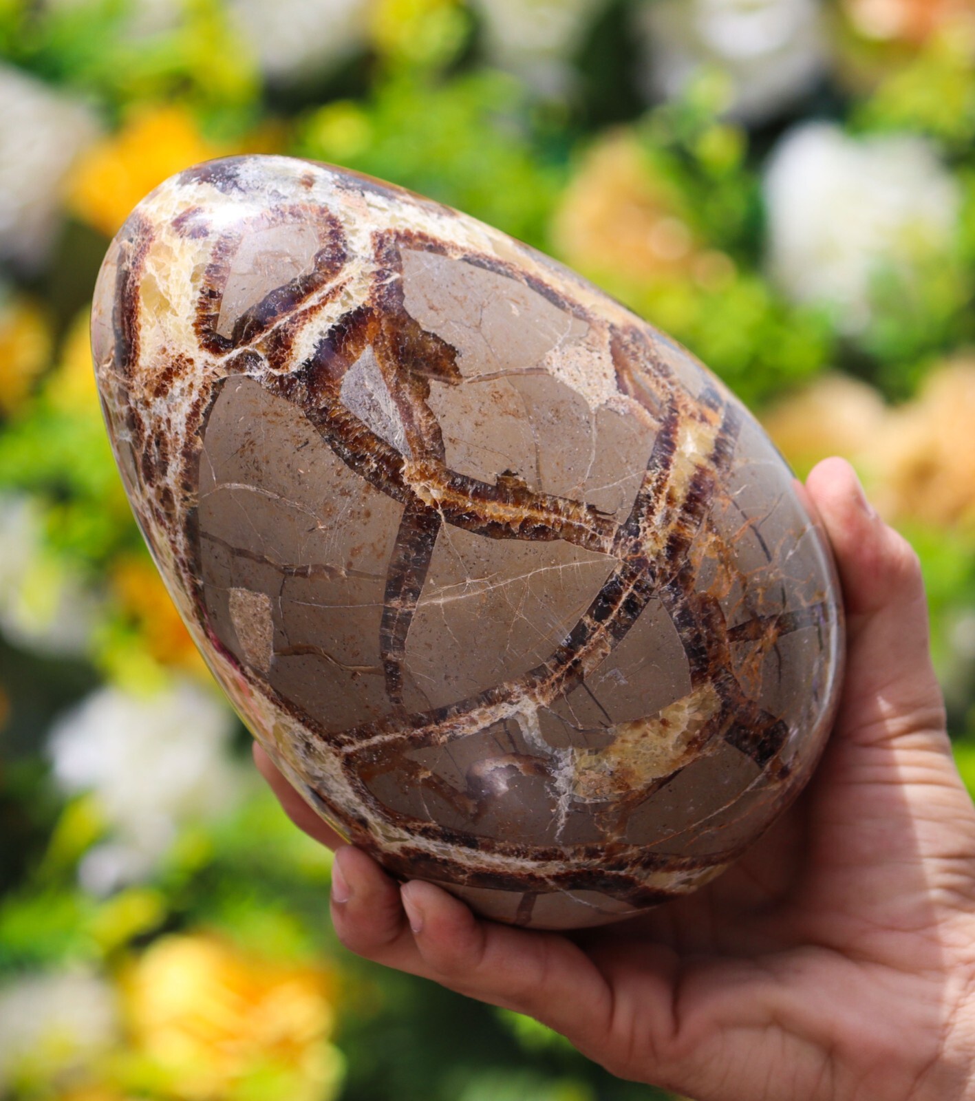 180MM Yellow Septarian Egg Septaria Septeyre Chakra Crystal Healing Gemstone Egg | eBay