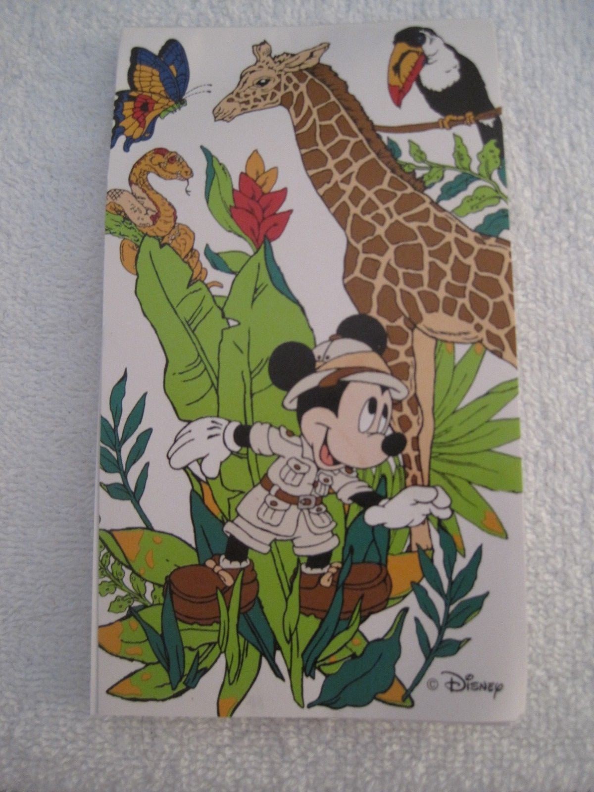 Disney Animal Kingdom Desk Set - $19.99 | eBay