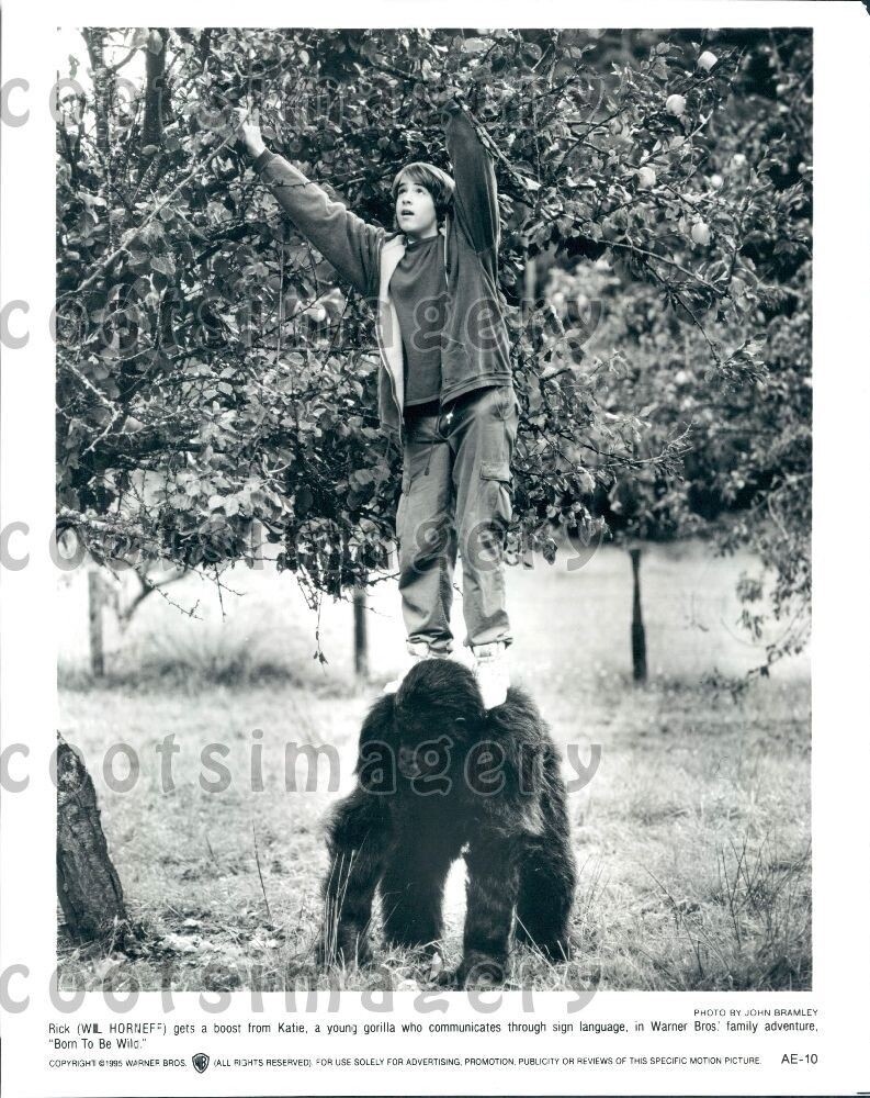 William Horneff Actor Wil Horneff – Movies, Bio And Lists On MUBI