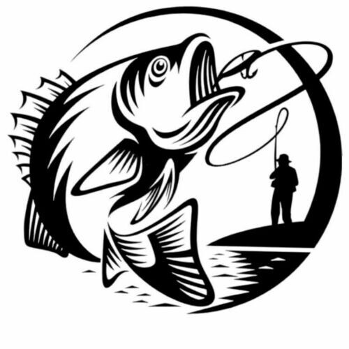 LARGE carp fishing man car bonnet side sticker camper van vinyl decal ...