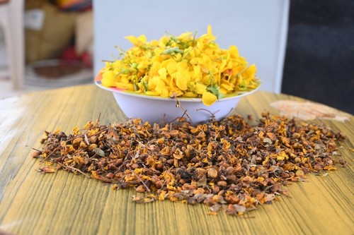 Traditional Avarampoo Flower Dried - Natural & Authentic Floral ...