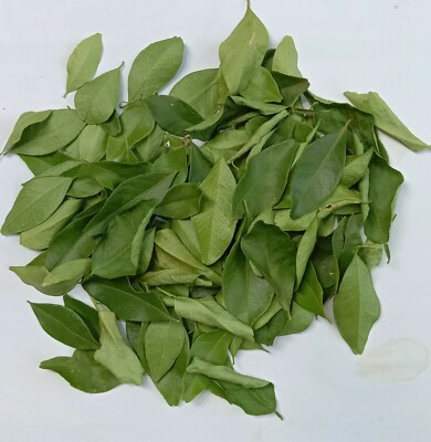 Yakinaran [ Atalantia Ceylanica ] & lemon dried leaves for herbal ...