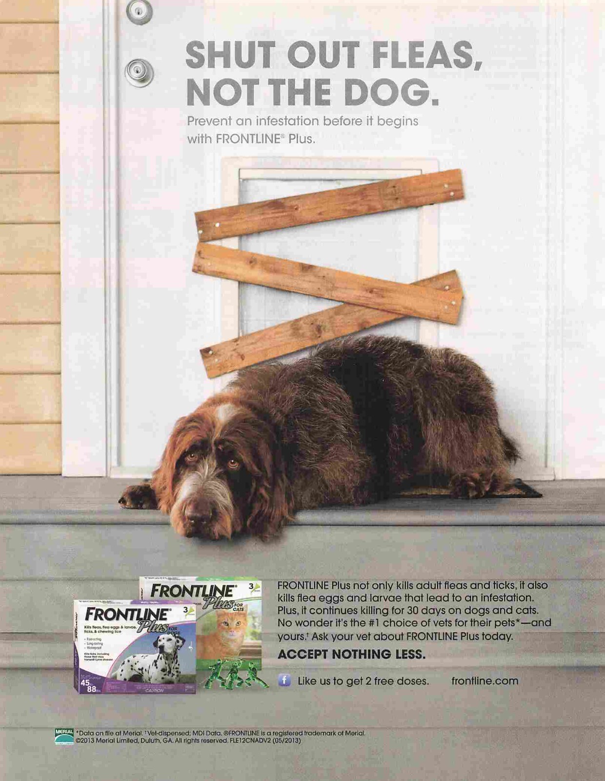 Flea Control Ads