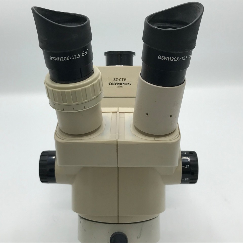 Olympus SZ40 Stereo microscope & Olympus Phot/Video and .5x Objective w ...