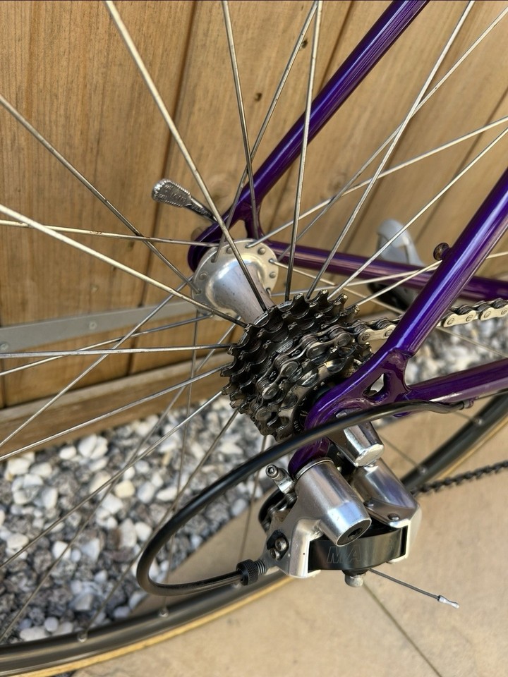 Raleigh Dynatech Lo Pro 2080tubing Mavic Groupset | eBay UK
