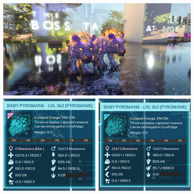 ARK ASCENDED PVE OFFICIAL PAIR BABY PYROMANE BLACK NEW TOP MELEE PC ...