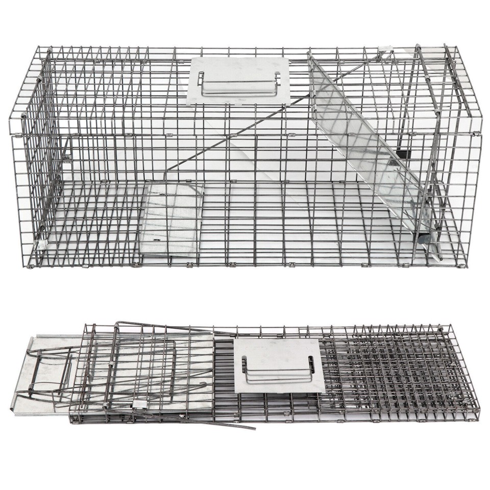 Large Animal Trap Spring Loaded 32x12x13" Easy to Bait & Release Fram ...