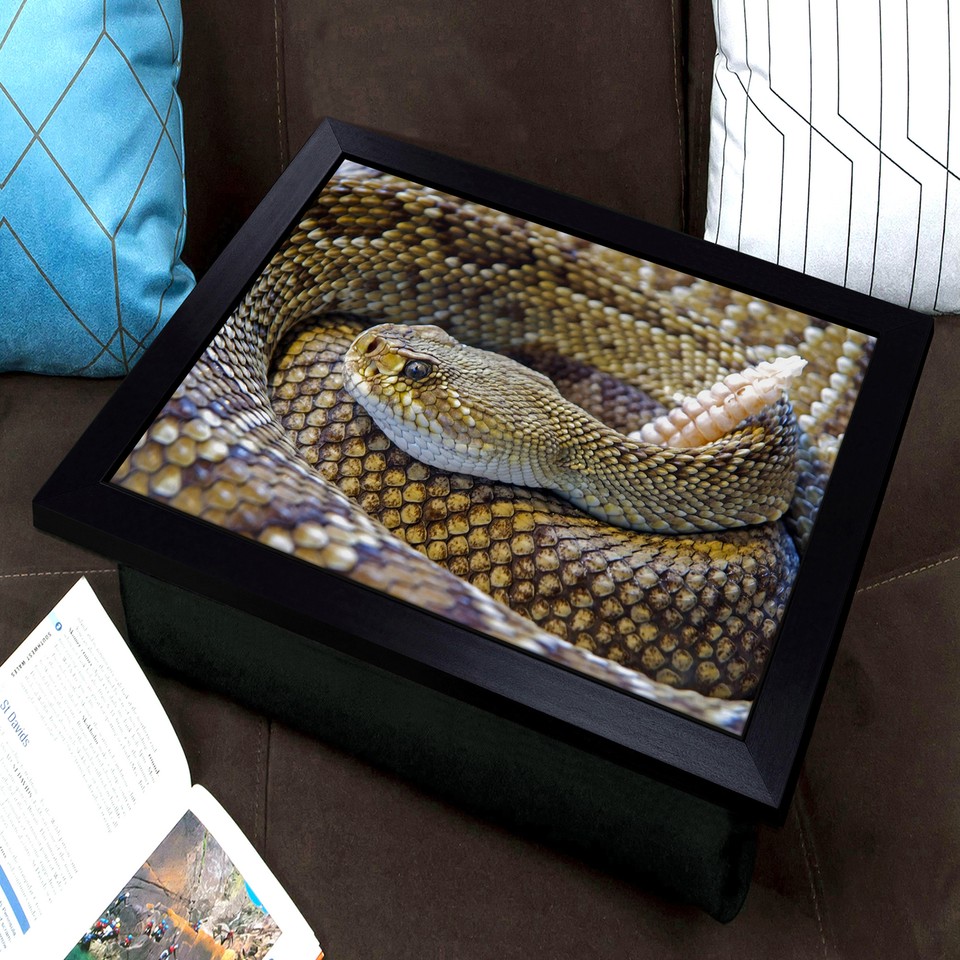Rattle Snake Lap Tray Cushioned Bean Bag Padded TV Dinner Food ...