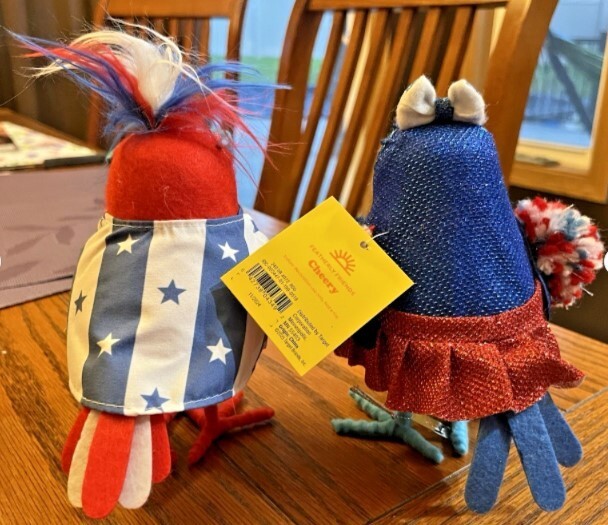 2025 TARGET SUN SQUAD FEATHERLY FRIENDS SUMMER BIRD FELT DECORATIONS ...