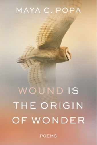 Maya C. Popa Wound Is the Origin of Wonder (Relié) | eBay