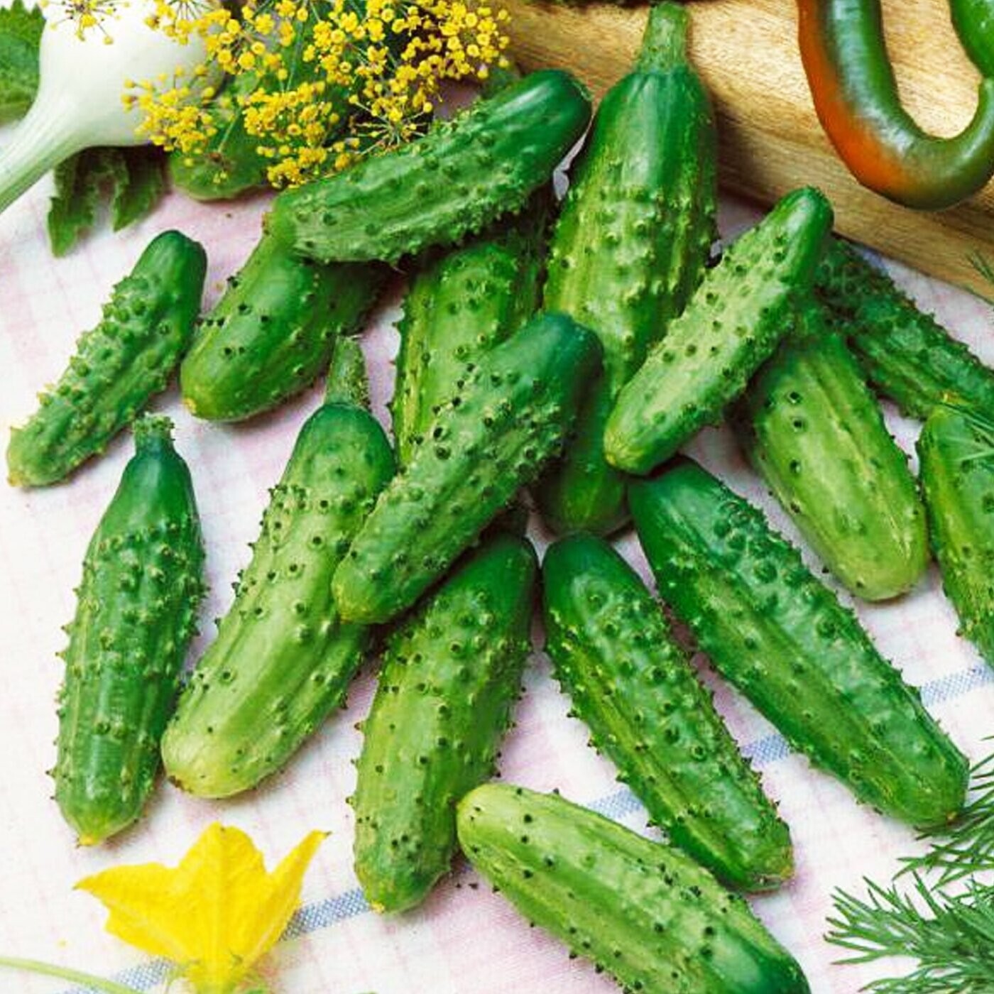 Seeds Cucumber Paris Gherkin Early Vegetable Giant Organic Heirloom NON ...