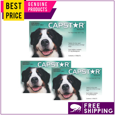 Capstar for Large Dogs Over 11 Kg Green 6,12 Doses Flea Prevention ...