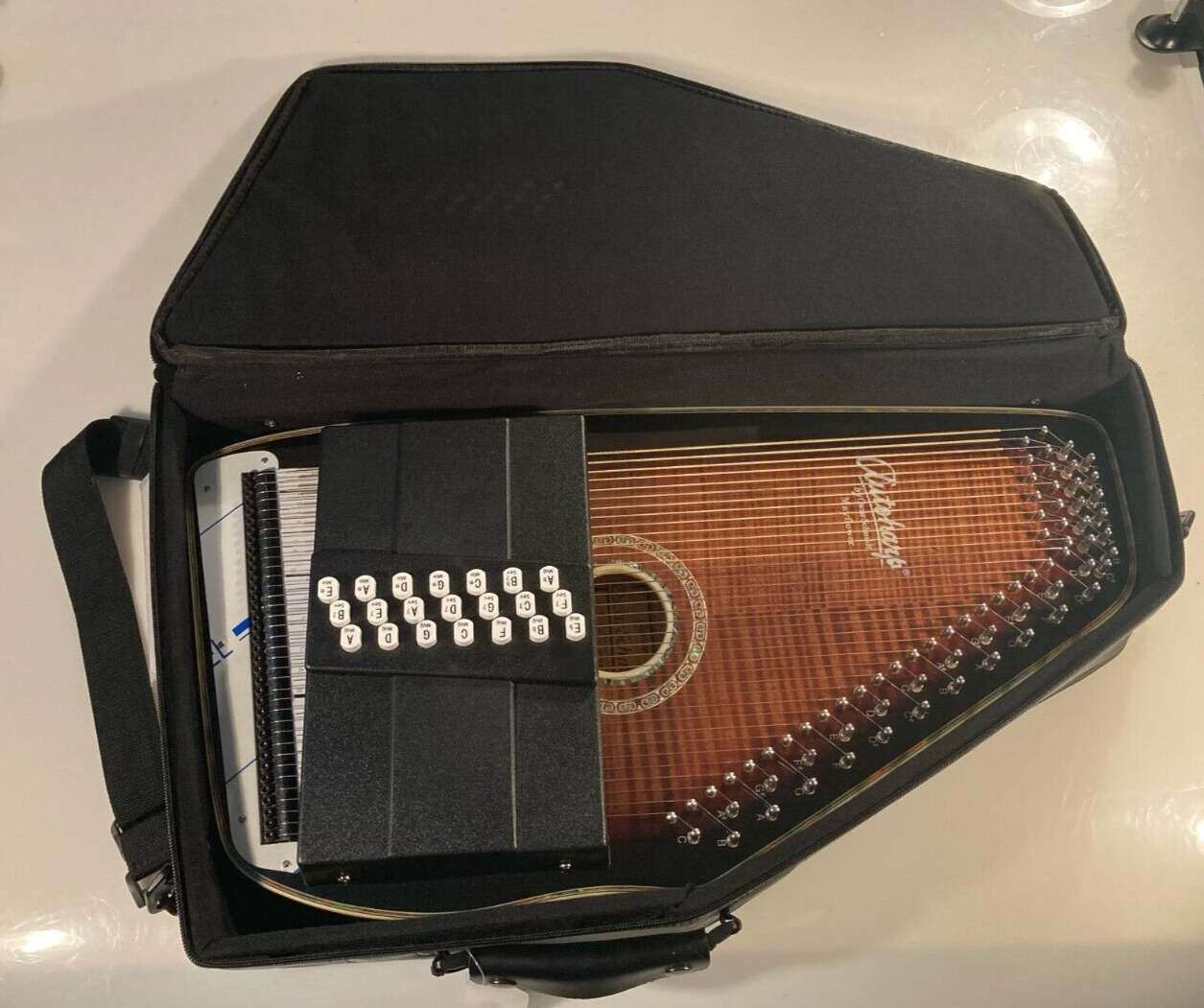 Oscar Schmidt Autoharp (OS11021FE) Electric Autoharp- The Mayflower ...