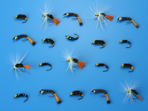 40Pcs Caddis Pupa Larva Midge Buzzers BeadHead Nymphs Flies Trout Fly ...