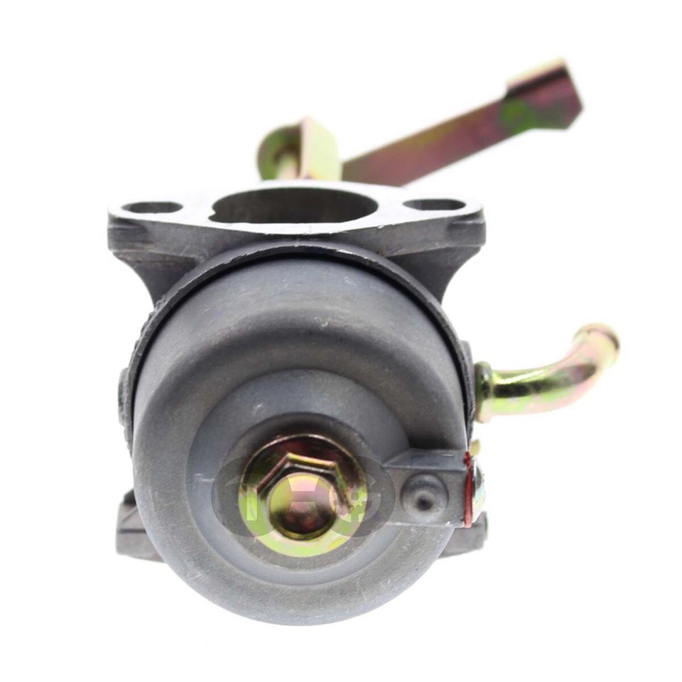 CARBURETOR Fuel filter ARDISAM 10078 For Earthquake 99CC 4-Cycle Viper ...