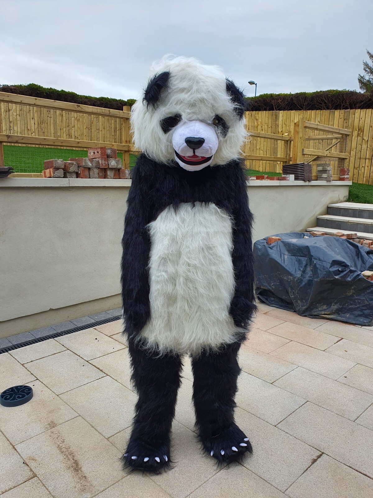 panda fancy dress costume | eBay UK