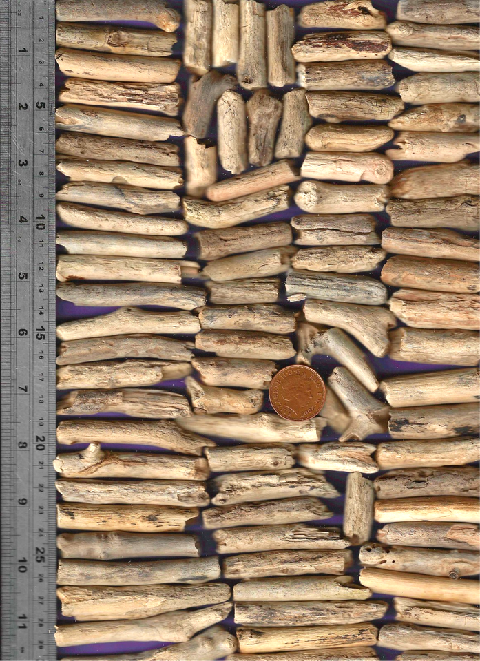 82 Nice UK North Sea driftwood pieces 3 to 8.3 cm 133g Ocean Art Dunbar Scotland | eBay UK