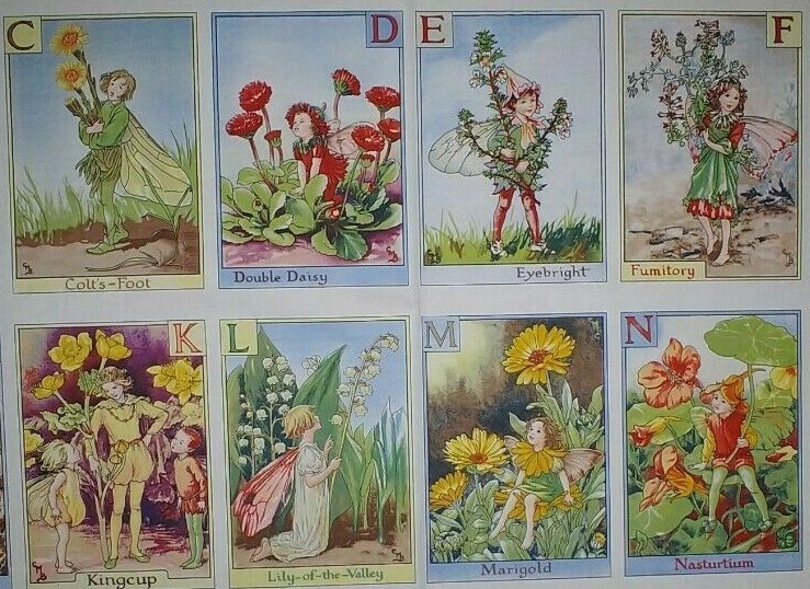Alphabet Flower Fairies Panel ABC 24 Fairy Blocks Cicely Mary Barker ...