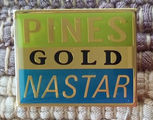 Pines Skiing Gold NASTAR badge lapel pin pre-owned | eBay