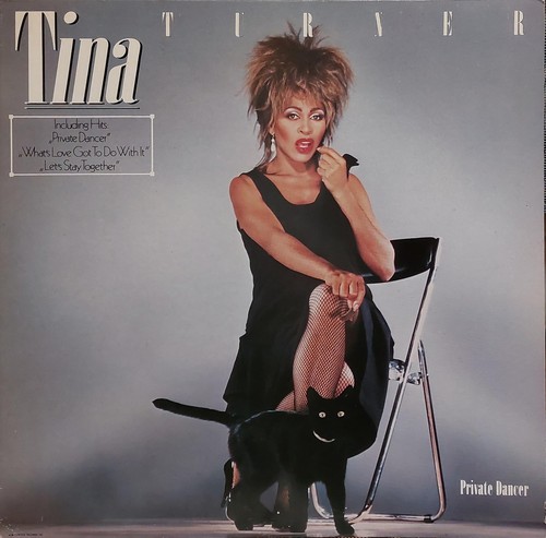 Tina Turner : Private Dancer - vinyle LP 33 tr/min | eBay