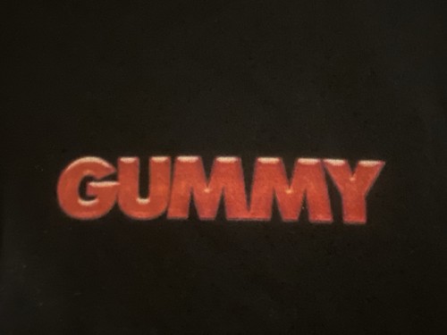 BROCKHAMPTON GUMMY TOUR MUSIC MERCH HEAVYWEIGHT HOODIE SWEATSHIRT MENS ...