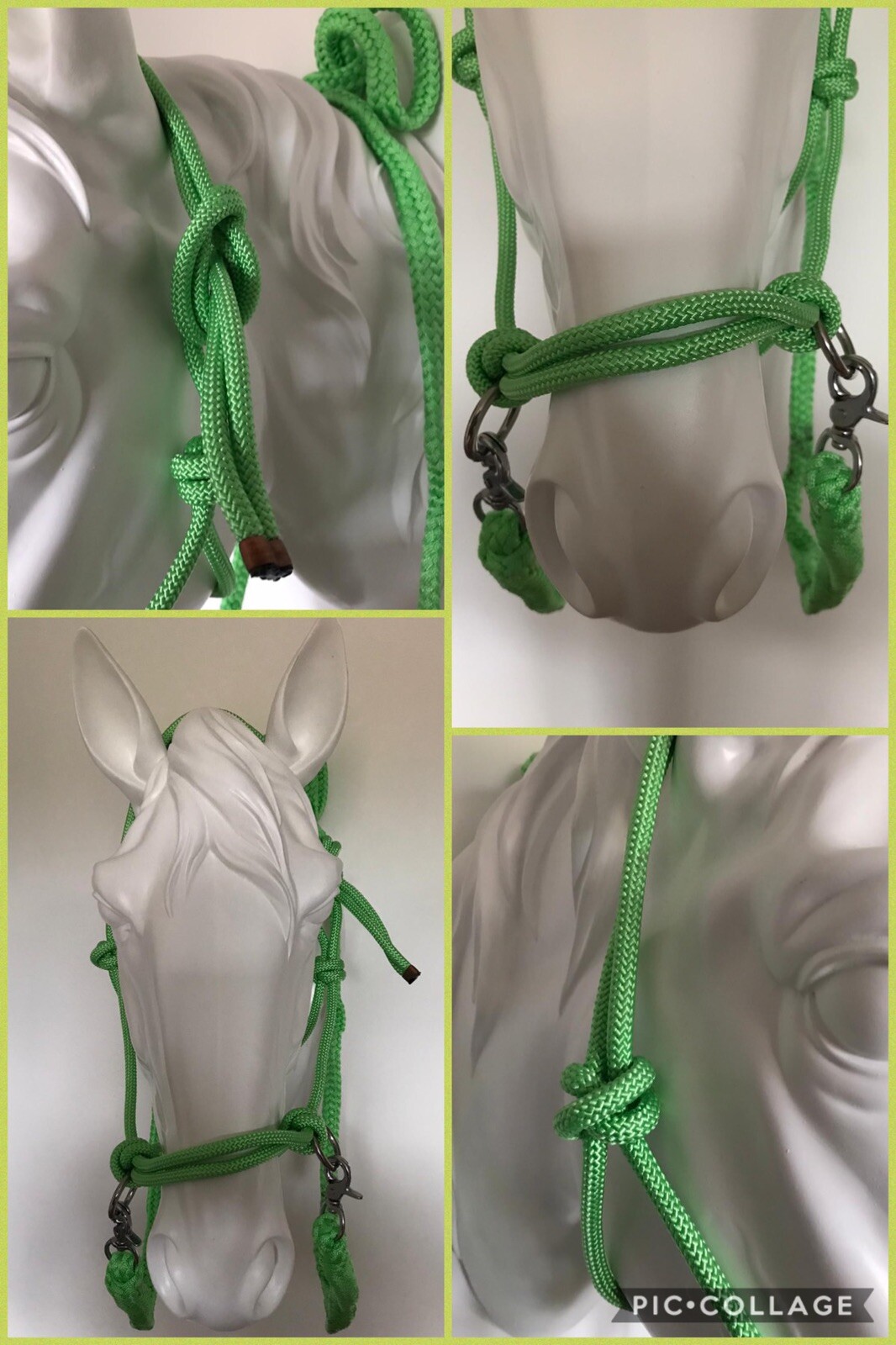Rope Halter With Reins,Bitless Bridle,Parelli Horsemanship, LIME ...