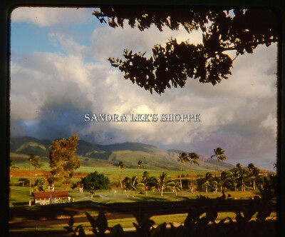1974 Square Slide Pretty Golf Course Palm Trees Waimea Big Island ...