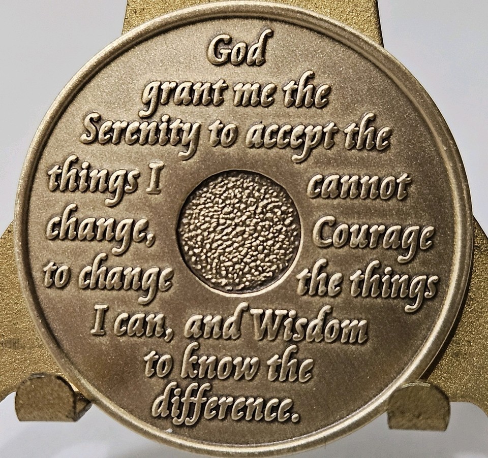 Alcoholic 20 Year Recovery Chip Medallion Coin Medal Token AA Anonymous ...