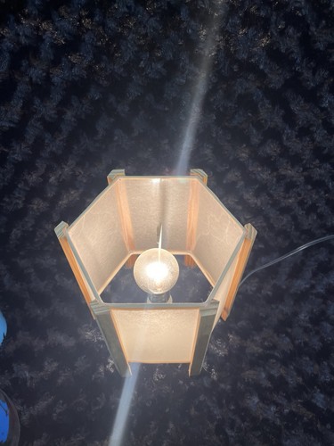 Vintage 90s Magic Spinning Lamp Night Light Race Horses and extra ...