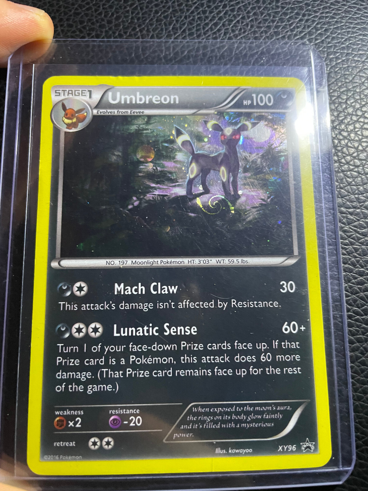 Pokemon - Holo - Umbreon XY96 Pokemon Promo XY | eBay