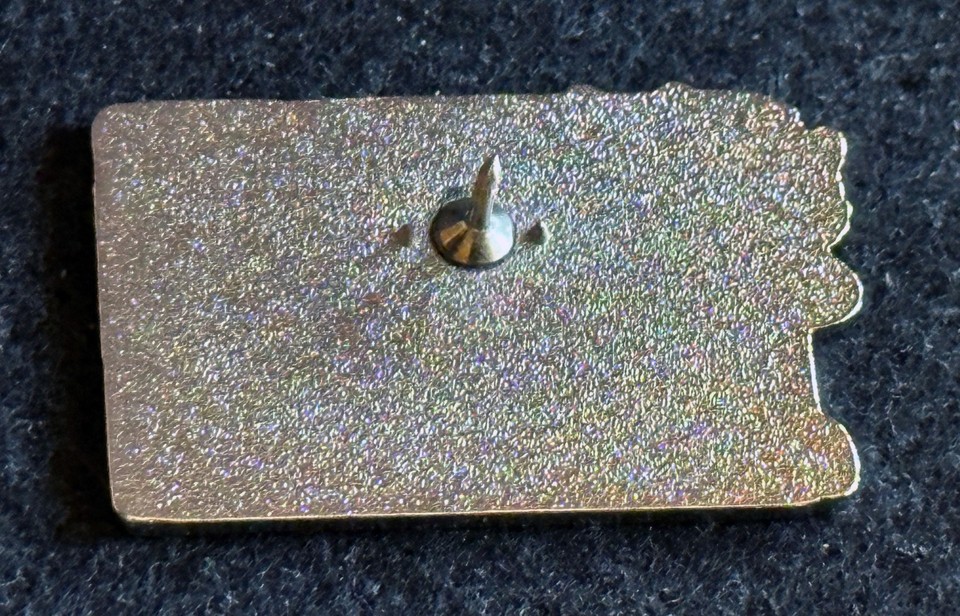 Nice 2016 Rio de Janeiro Summer Olympic Games - China Team Pin with Rio ...