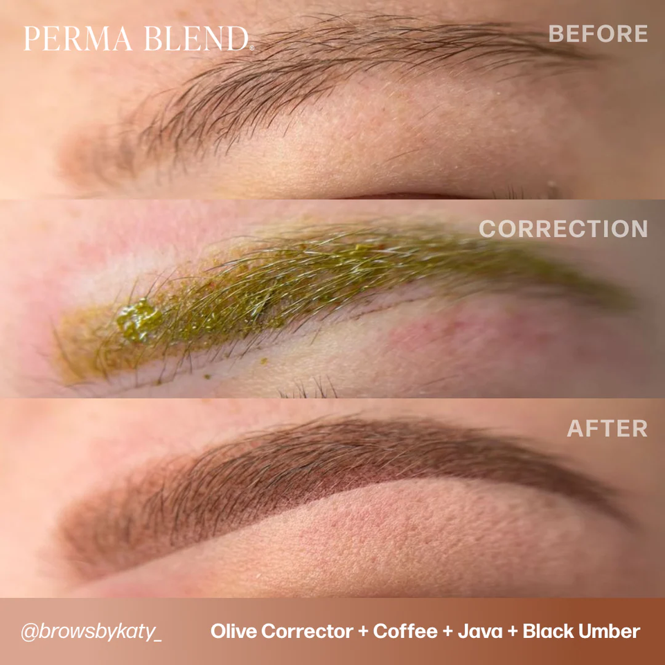 PERMA BLEND Set Kit Permanent Makeup Microblading Pigments Permablend ...