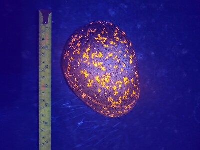 Huge, Authentic, Beautiful Yooperlite From Lake Superior! Mesmerizing ...