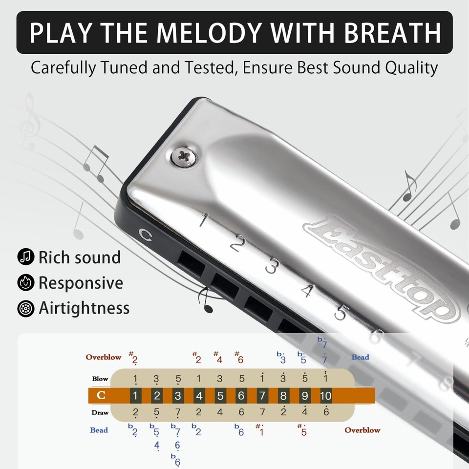 EASTTOP 10Hole Harmonica set 20Tone Diatonic Blues Harmonica Set blues ...