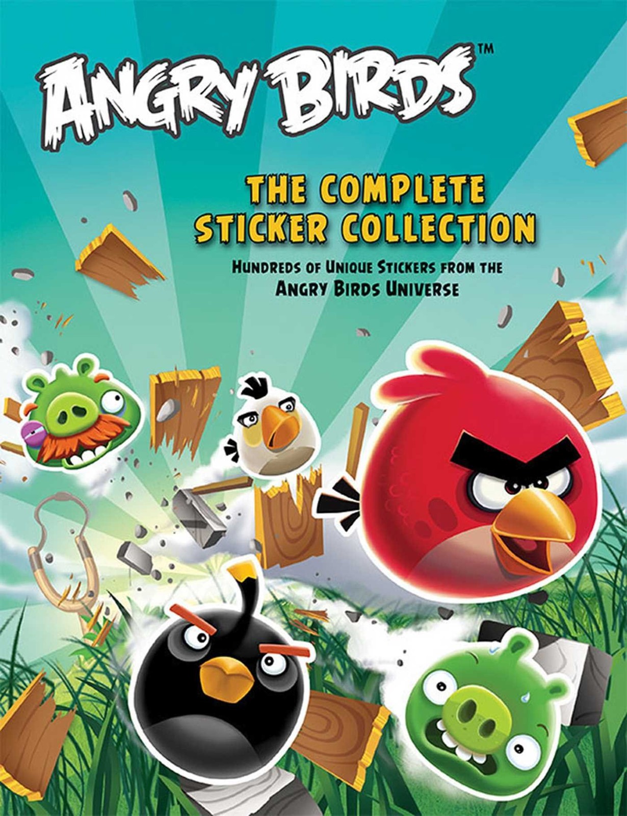 Angry Bird: The Complete Sticker Collection 9781608873784| eBay
