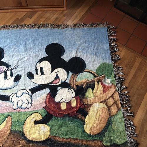 Walt Disney World Mickey & Minnie Mouse Tapestry Fringe Blanket Picnic ...
