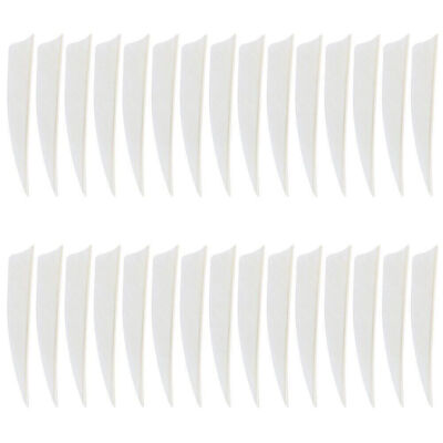 30Pcs 5 inch Arrow Turkey Feather Natural Fletching Right Wing Arrow ...