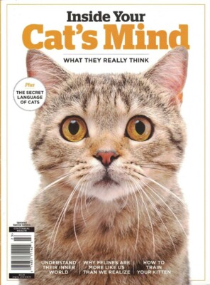 Inside Your Cat's Mind - 2019 Centennial Health Magazine Updated ...